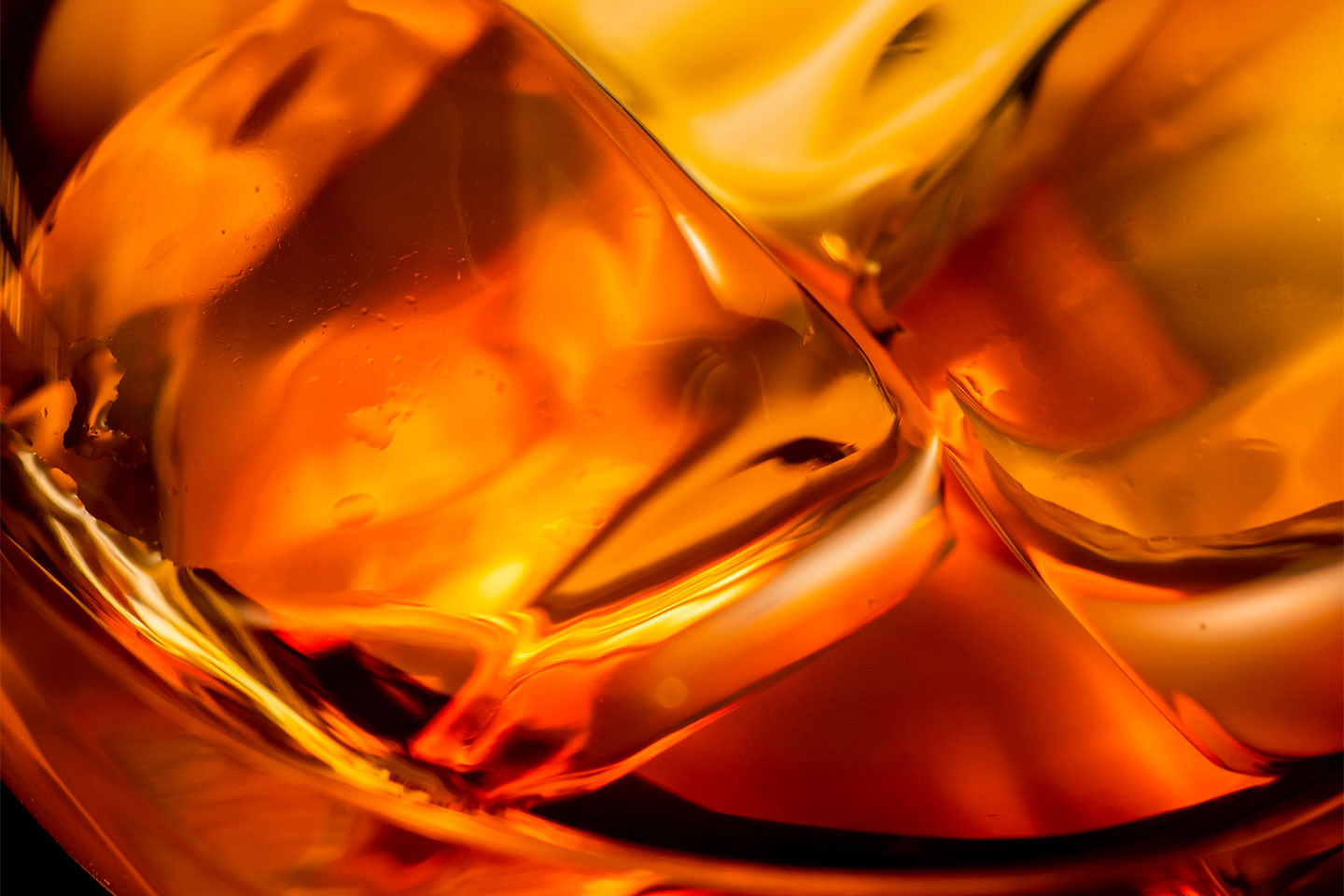 Avvale | Case Study | Branca International